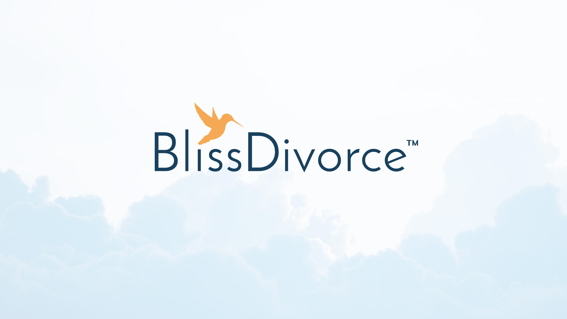 BlissDivorce Terms and Conditions